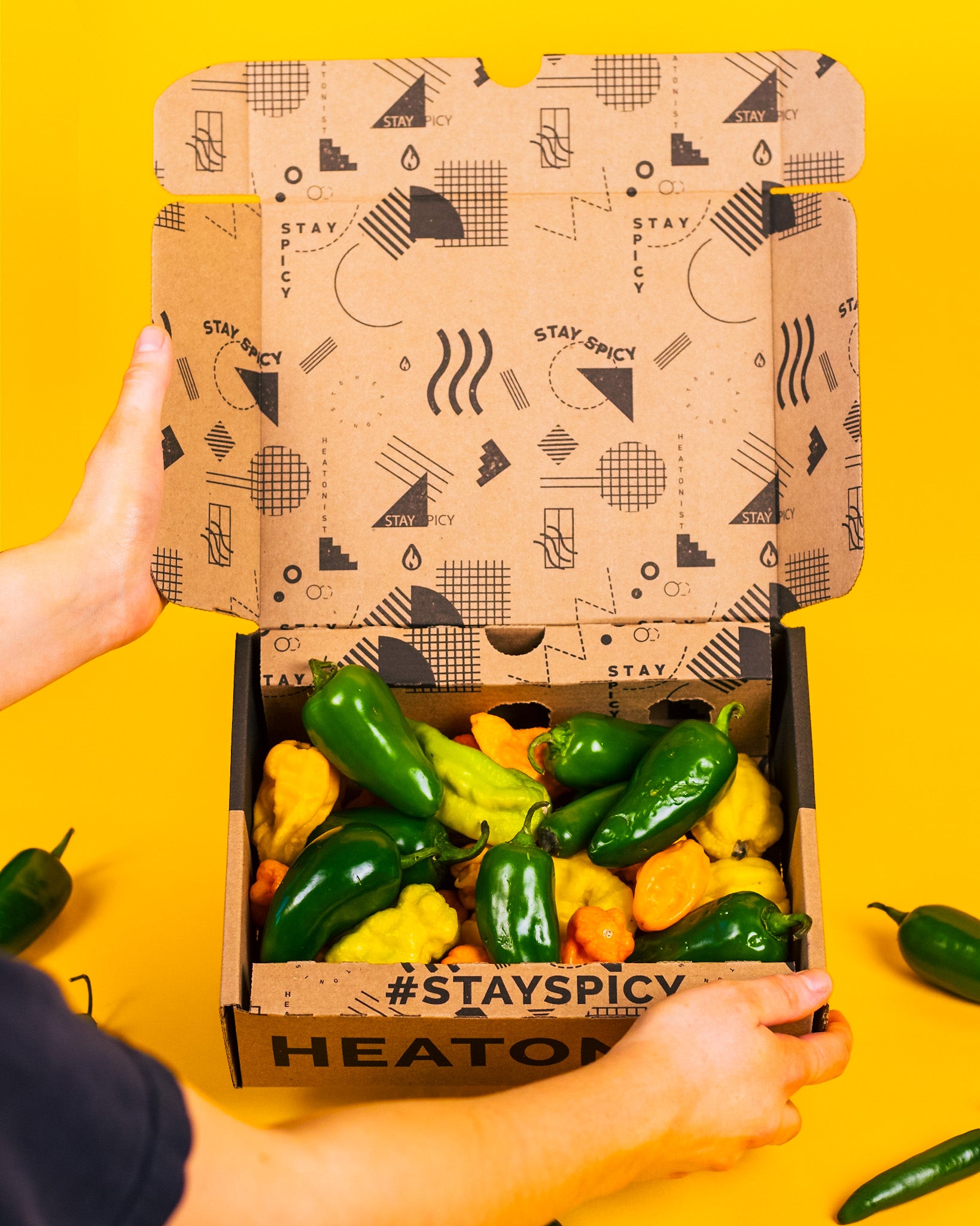 Heatonist Mystery Box 1 | HEATONIST